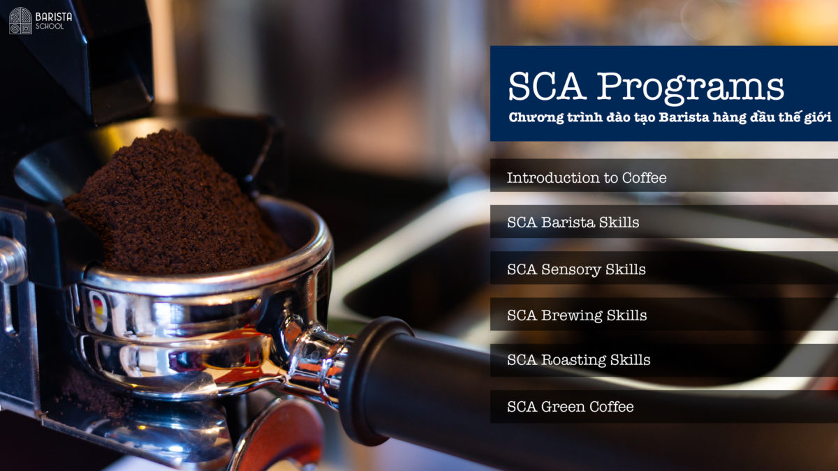 SCA – "Ông lớn" trong ngành công nghiệp Specialty Coffee - Barista School