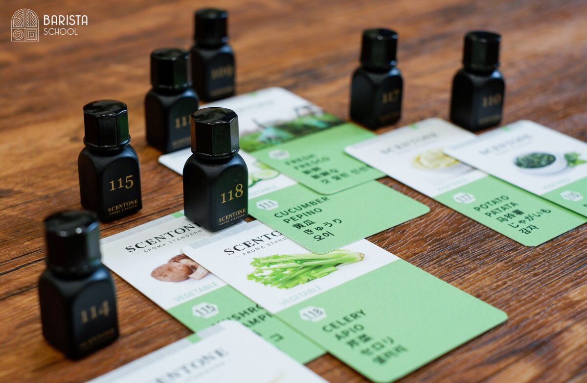 Cẩm nang SENSORY SCENTONE được hé lộ - Barista School
