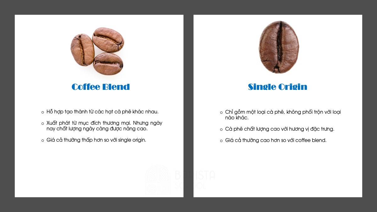 Single origin vs coffee blend - Loại cà phê nào phù hợp nhất với bạn? - Barista School